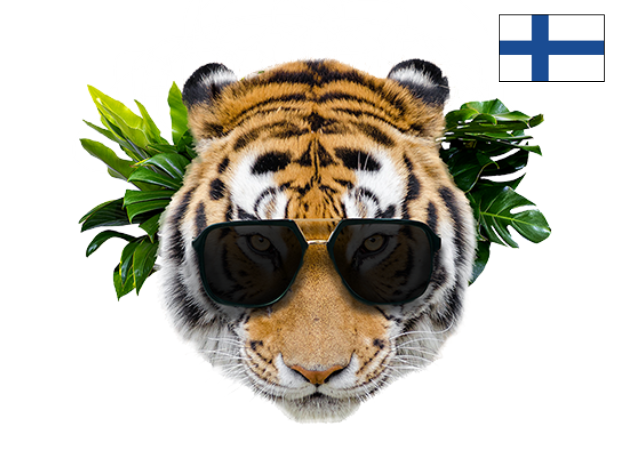 Focus Tiger – FI - Focus Tiger